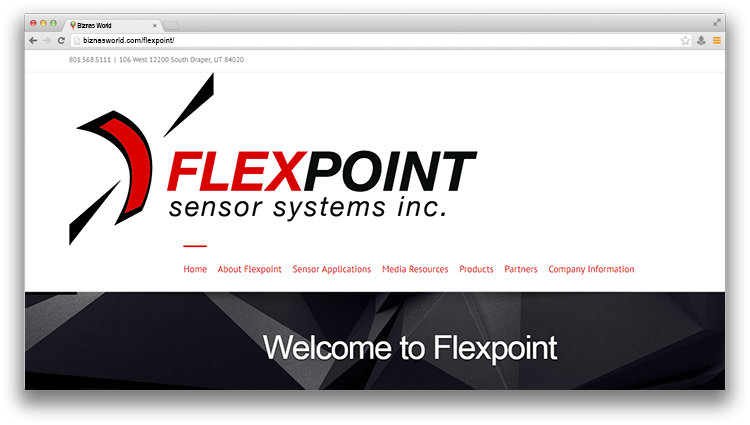 FlexPoint - Biznas World