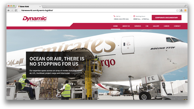 Dynamic Logistics - Biznas World