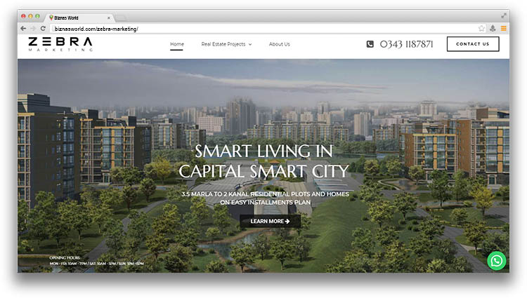 Zebra Marketing - Biznas World